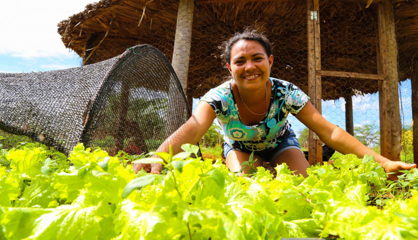 Pequenos produtores rurais unidos podem explorar uma fatia do mercado ...